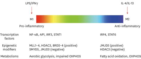 The Spectrum Of Macrophage Activation And Its Regulators The Color Download Scientific Diagram