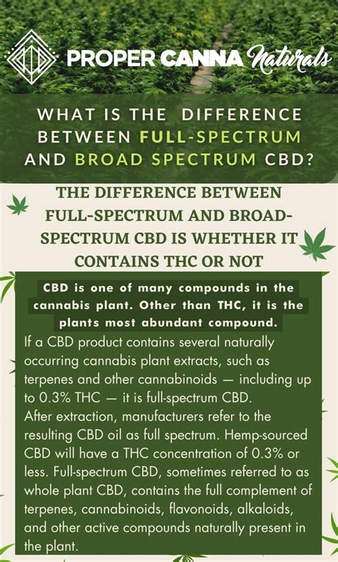 The Difference Between Broad Spectrum Vs Full Spectrum