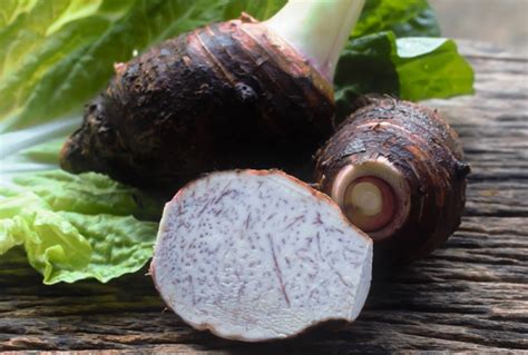 How To Grow A Taro Plant At Home Bioweed