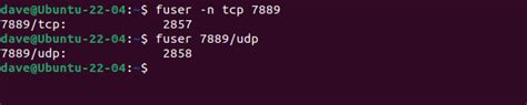 How To Kill A Linux Process By Port Number