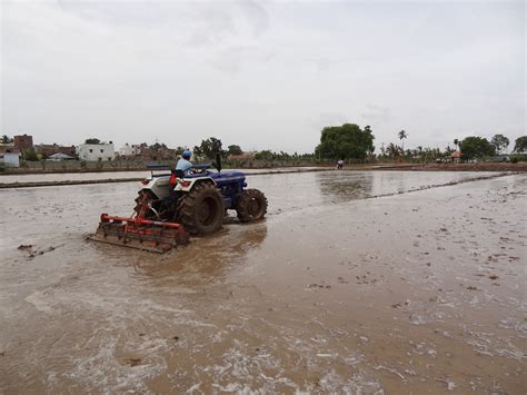 16 Rotavator Puddling