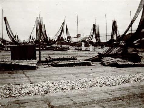 Sejarah Bagan Api Api Ke Bagansiapiapi Ke Dunia Luar Riaumagz