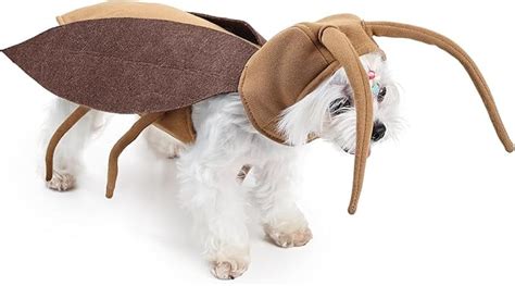 Jollup Halloween Pet Cosplay Costumes “roach Rampage” Pet Cockroach Cos