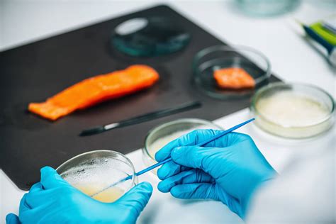 Scientists Are Mapping Food Microbes To Understand Gut Health