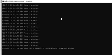 request nacos server failed and nacos cluster is running with 1 x mode