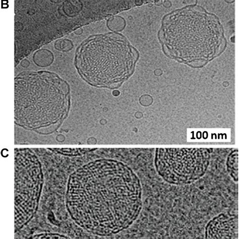 A Pure Lipidic Cubic Phase Left And Lipidic Cubic Phase Loaded With P