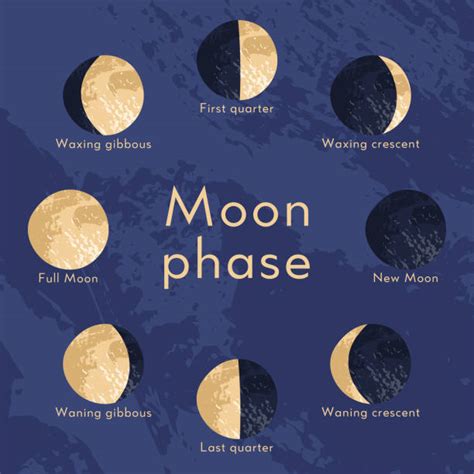 Phases Of The Moon Clipart Lunar Cycle Waxing Gibbous Crescent Clip Art