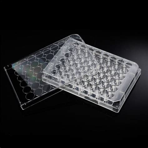 48 Well Cell Culture Plates Plates Lab Disposable TC Treated Clear