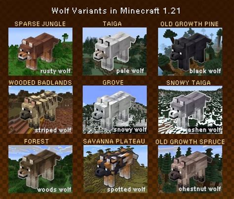 New Minecraft Wolf Variants Locations