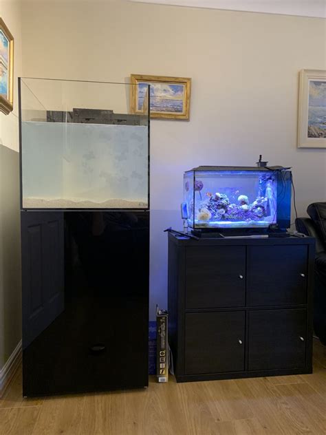 Cube Build New 60cm Cube Build REEF2REEF Saltwater And Reef