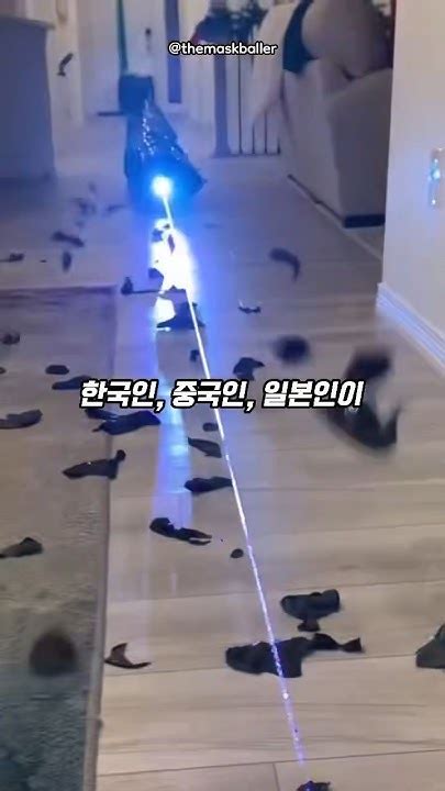한국인 중국인 일본인 Youtube