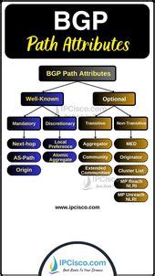 Ipcisco Ip Networking Linux Python It Certifications Ipcisco Profile Pinterest