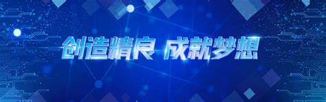 公司概况 七星微电子