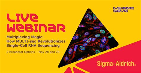 Multiplexing Magic How Multi Seq Revolutionizes Single Cell Rna