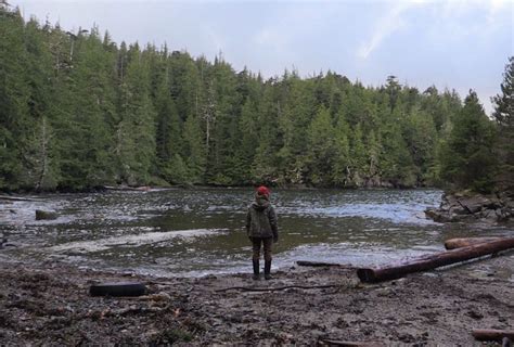 The Authentic Reality Tv Show ‘alone Is The Superior Survival Series