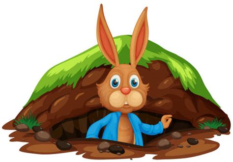 Rabbit Burrow Illustrations Royalty Free Vector Graphics And Clip Art Istock