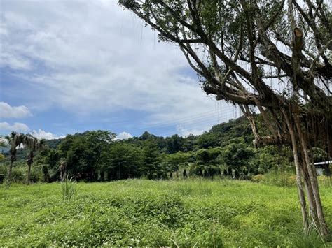 新店渡渡口~體驗人力擺渡船橫渡碧潭~灣潭遊戲區公園溜小孩旅遊walkerland窩客島