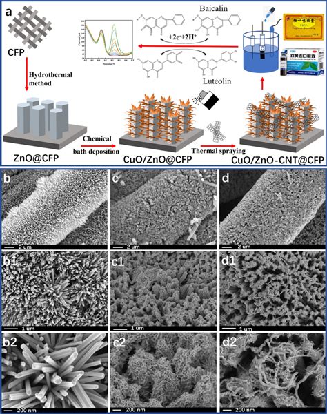 A Schematic Illustration Of The Fabrication Process Of Cuo Zno Ccnt Cfp Download Scientific