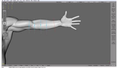 Topogun Download Latest 2025 FileCR