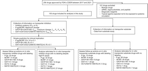 Figure 1 From Findings On In Vitro Transporter Mediated Drug