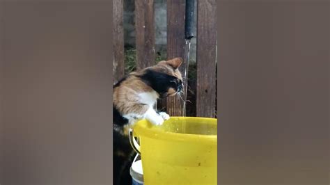 Орися і вода Youtube