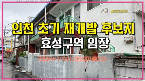 인천 재개발후보지 효성구역 임장 다녀왔습니다 Youtube