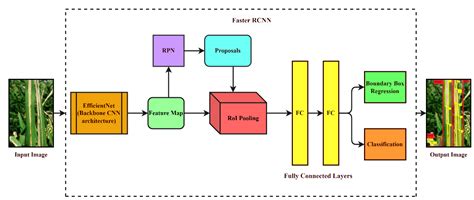 An Artificial Intelligence Based Novel Rice Grade Model For Severity Estimation Of Rice Diseases