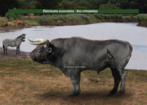 Aurochs Bos Primigenius By Artemholubievgolubev On Deviantart
