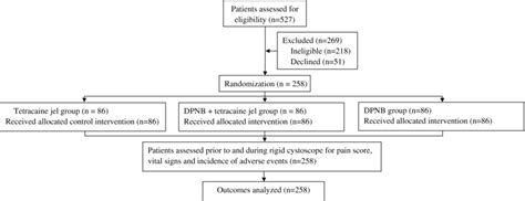 Patient Flow Chart Dpnb Dorsal Penile Nerve Block Download