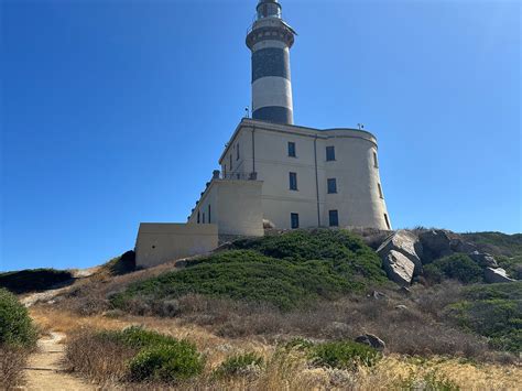 Nemo Sub 2025 All You Need To Know Before You Go With Reviews