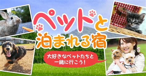 ペットと泊まれるおすすめ宿特集 【トラベルjp】