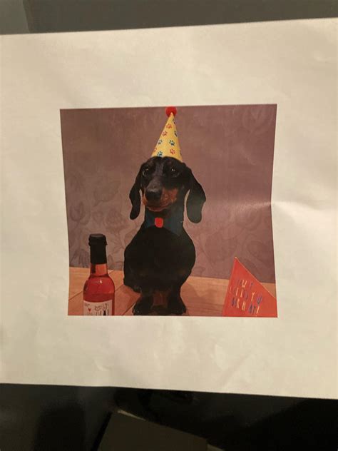 My Brother Came Home With This Printed Picture Reyebleach