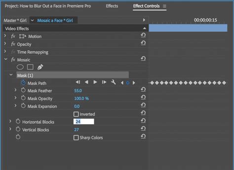 Need To Blur A Face In Premiere Pro Here S How You Do It