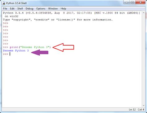 Yapay Zeka Labs Python Windows Kurulumu