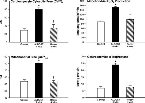 Reverse Remodeling At Cellular Subcellular Levels Cardiomyocyte Download Scientific Diagram