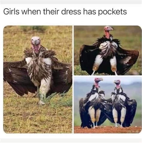 Girls When Their Dress Has Pockets 9gag