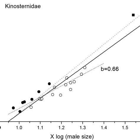 Log Female Size Versus Log Male Size Showing The Slope B Of The Download Scientific