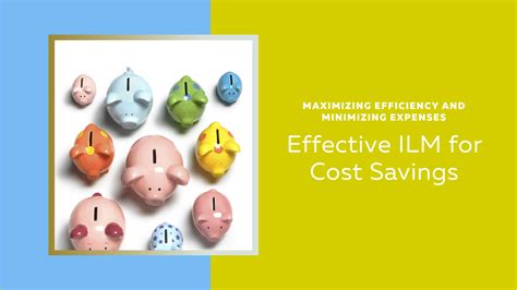 cost optimization by effective information life cycle management