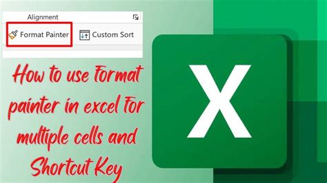 How to use format painter in excel for multiple cells and Shortcut Key - YouTube