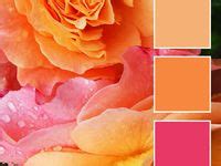 Discover 120 Color Schemes And Hex Codes And Color Schemes Ideas In 2025 Color Color Palette