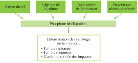 Le Phosphore Wiki Aur A