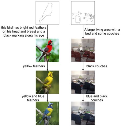 text guided customizable image synthesis and manipulation