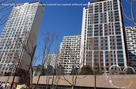 동탄 이편한세상 단지 구경 동탄2 E편한세상 조경 도색 네이버 블로그