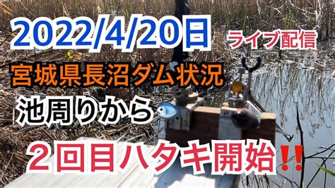 宮城県長沼ダム状況 2回目ハタキ開始ライブ YouTube