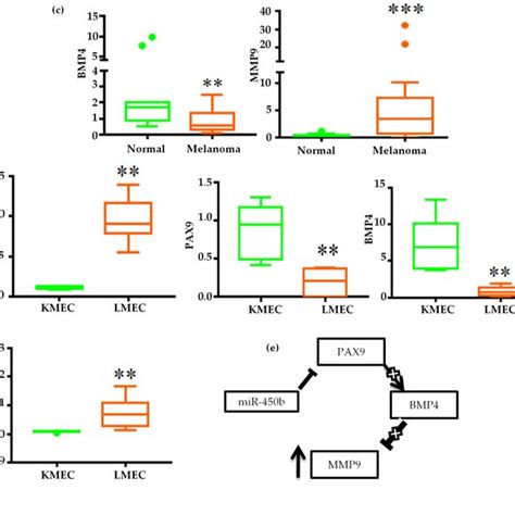 Differential Mirna Expression In A Unsupervised Euclidean