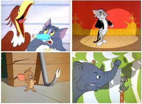 猫和老鼠谁克制汤姆