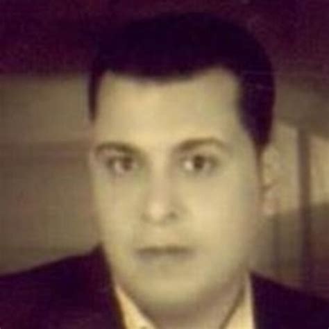 Aly Elkholy Researcher Electronics Research Institute Cairo Pv