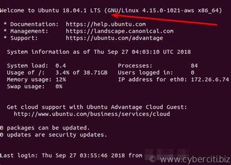 Aws Lightsail Upgrade Ubuntu Lts To Lts Nixcraft