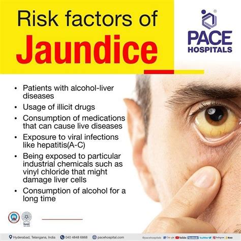 What Is Jaundice And Hepatitis At Alfred Wilford Blog