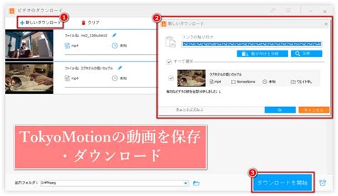 Tokyomotion